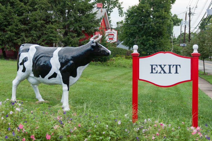 Applegate Farm Keeps Montclair Cool - The Montclair Dispatch